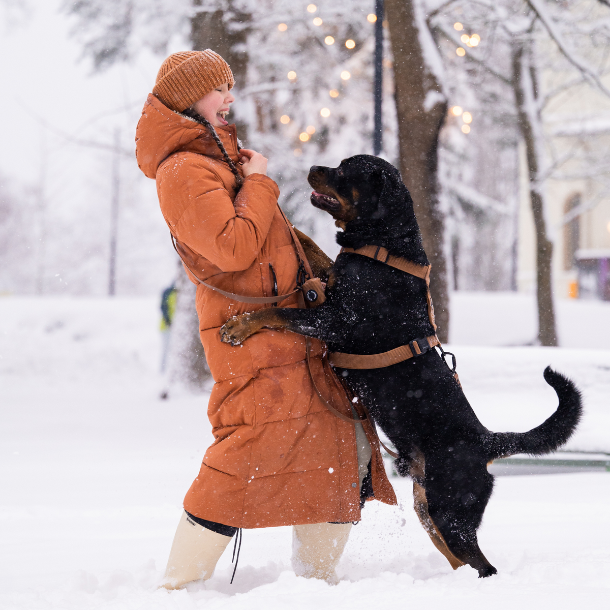 Woofy Dog Products | Beautiful, functional & high quality